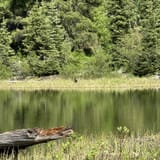 Three Lakes Trail, Colorado - 985 Reviews, Map | AllTrails