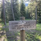 Lava Lake Trail, Montana - 3,165 Reviews, Map | AllTrails