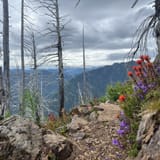 Mount Rose Trail, Washington - 1,386 Reviews, Map | AllTrails