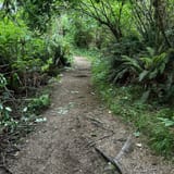 Secret Beach Trail, Oregon - 1,482 Reviews, Map | AllTrails