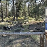 Riley Ranch Trails, Oregon - 391 Reviews, Map | AllTrails