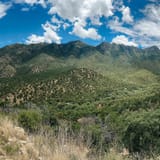 Madera Canyon Nature Trail, Arizona - 1,421 Reviews, Map | AllTrails