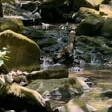 Lower Macleay Park to Pittock Mansion, Oregon - 4,582 Reviews, Map ...