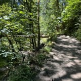 Lower Macleay Park to Pittock Mansion, Oregon - 4,582 Reviews, Map ...