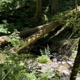 Lower Macleay Park to Pittock Mansion, Oregon - 4,582 Reviews, Map ...