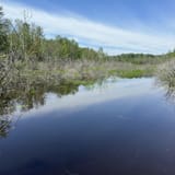 Mer Bleue Conservation Area Loop, Ontario, Canada - 957 Reviews, Map ...