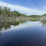 Mer Bleue Conservation Area Loop, Ontario, Canada - 957 Reviews, Map ...