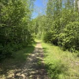 Mer Bleue Conservation Area Loop, Ontario, Canada - 957 Reviews, Map ...