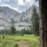 Sentinel Meadow Cook's Meadow Loop Trail, California - 3,765 Reviews ...