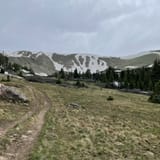 Butler Gulch Trail, Colorado - 2,704 Reviews, Map | AllTrails