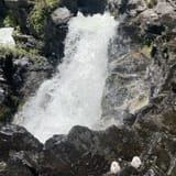 Perry Creek Trail, British Columbia, Canada - 221 Reviews, Map | AllTrails