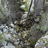 Red Rock Point via Red Point Trail, Montana - 470 Reviews, Map | AllTrails