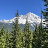 Rampart Ridge Loop, Washington - 2,605 Reviews, Map | AllTrails