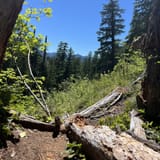 Rampart Ridge Loop, Washington - 2,605 Reviews, Map | AllTrails
