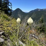 Rampart Ridge Loop, Washington - 2,605 Reviews, Map | AllTrails