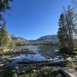 Ruth Lake Trail, Utah - 495 Reviews, Map | AllTrails