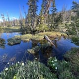 Ruth Lake Trail, Utah - 495 Reviews, Map | AllTrails