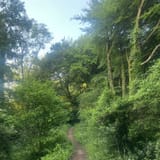 Tintern Abbey and Devil's Pulpit Circular, Monmouthshire, Wales - 835 ...