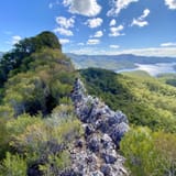 Pages Pinnacle , Queensland, Australia - 1,584 Reviews, Map | AllTrails