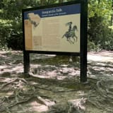 Issaqueena Falls Trail, South Carolina - 872 Reviews, Map | AllTrails