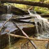 Issaqueena Falls Trail, South Carolina - 872 Reviews, Map | AllTrails