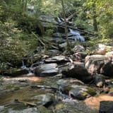Issaqueena Falls Trail, South Carolina - 872 Reviews, Map | AllTrails
