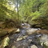 Issaqueena Falls Trail, South Carolina - 872 Reviews, Map | AllTrails