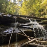 Issaqueena Falls Trail, South Carolina - 872 Reviews, Map | AllTrails