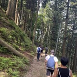 Mount Atago Loop, Kyoto, Japan - 182 Reviews, Map | AllTrails