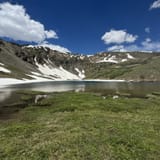 Shelf Lake Trail, Colorado - 1,174 Reviews, Map | AllTrails