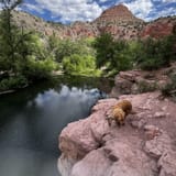 Parsons Trail, Arizona - 745 Reviews, Map | AllTrails