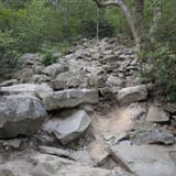 Mount Tammany via Red Dot and Blue Dot Loop Trail, New Jersey - 13,764 ...