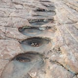 The Bowl, The Vortex, Utah - 1,709 Reviews, Map | AllTrails