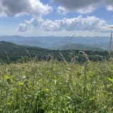 Max Patch Loop, North Carolina - 2,328 Reviews, Map | AllTrails