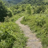 Max Patch Loop, North Carolina - 2,328 Reviews, Map | AllTrails