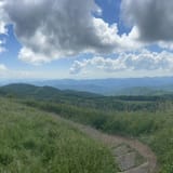 Max Patch Loop, North Carolina - 2,328 Reviews, Map | AllTrails