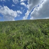 Max Patch Loop, North Carolina - 2,328 Reviews, Map | AllTrails