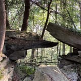 Canyon Vista Trail, Pennsylvania - 893 Reviews, Map | AllTrails