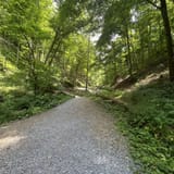 Fall Run Trail, Pennsylvania - 1,009 Reviews, Map | AllTrails