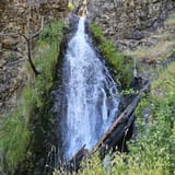 Fall Creek Falls Trail, Oregon - 375 Reviews, Map | AllTrails