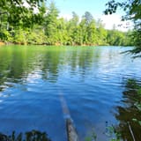 Fonta Flora Trail Loop, North Carolina - 1,781 Reviews, Map | AllTrails