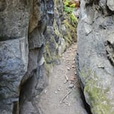 Fall Creek Falls Trail, Oregon - 375 Reviews, Map | AllTrails