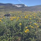 Mount Flora Trail, Colorado - 3,978 Reviews, Map | AllTrails