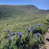Mount Flora Trail, Colorado - 3,978 Reviews, Map | AllTrails