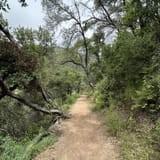 Cold Spring Loop, California - 2,324 Reviews, Map | AllTrails