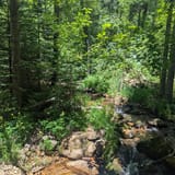 See Spring Trail, Arizona - 867 Reviews, Map | AllTrails