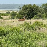 Sachuest Point National Wildlife Refuge Trail, Rhode Island - 1,948 ...