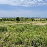 Sachuest Point National Wildlife Refuge Trail, Rhode Island - 1,948 ...