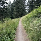 Mount Tabor: Main Loop, Oregon - 2,566 Reviews, Map | AllTrails