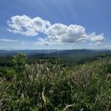Max Patch Loop, North Carolina - 2,328 Reviews, Map | AllTrails